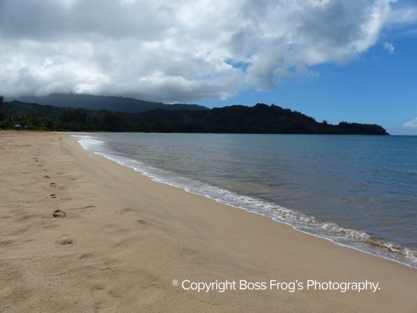 Hanalei Bay - The Ocean, the Stream, and the Dragon View | Kauai Activities